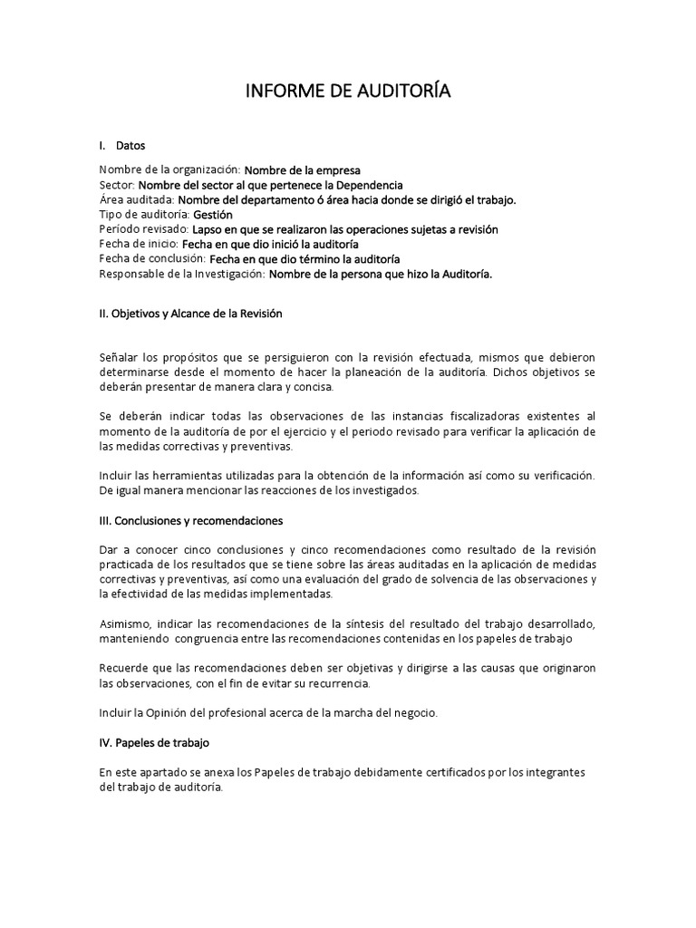 Esquema de Un Informe de Auditoria | PDF