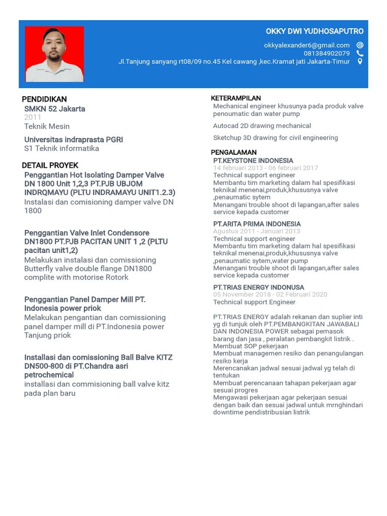 CV Okky | PDF