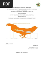 Aparato Reproductor Del Pato | PDF | Sistema reproductivo animal ...