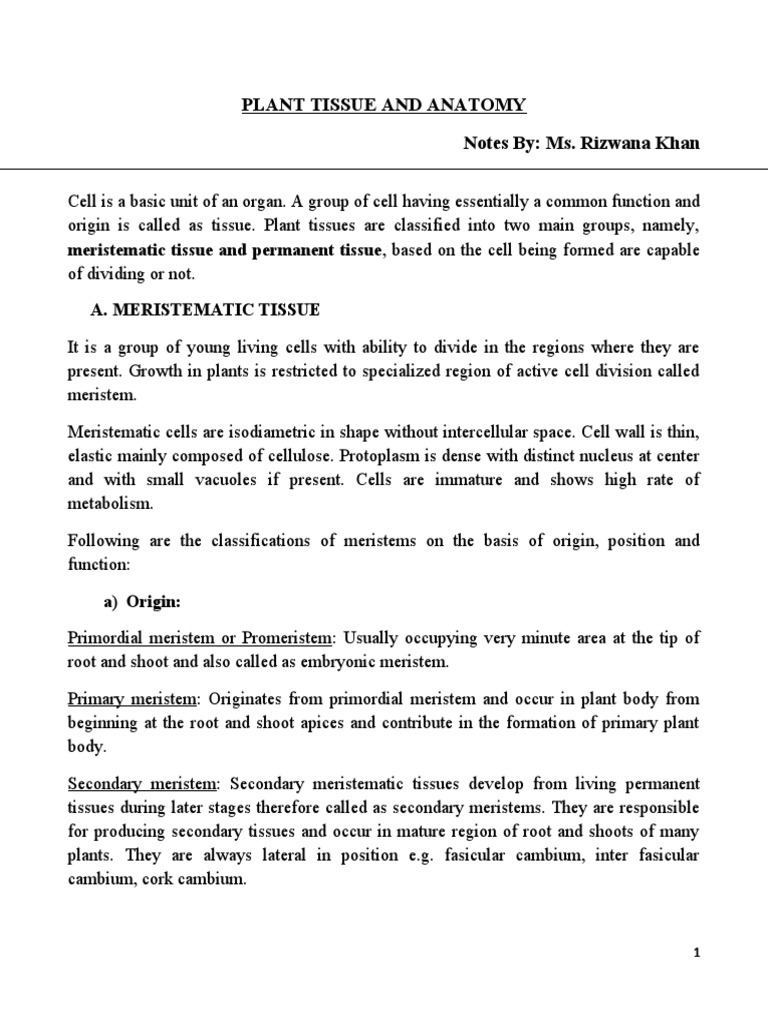 Plant Tissue and Anatomy Notes | PDF | Tissue (Biology) | Plant Stem