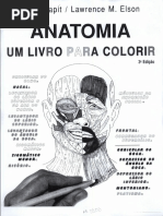 NETTER FLASH CARDS PORTUGUÊS - Colorido | PDF | Pescoço | Anatomia