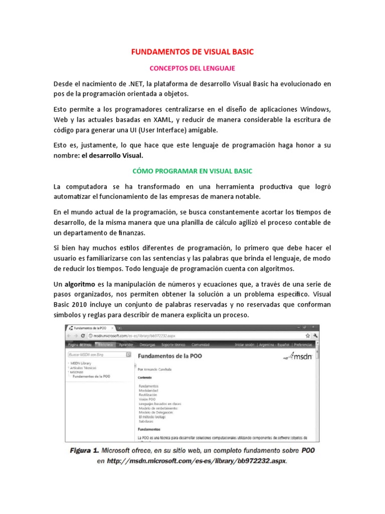 Fundamentos de Visual Basic - Estructura de Datos I - Módulo Iii | PDF ...