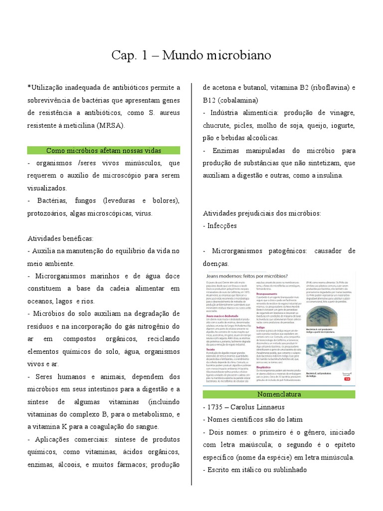 Mundo Microbiano | PDF | Célula (Biologia) | Microrganismo