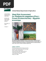 APHIS eFile VS 16-3 Permit Guide | PDF | Payments | Cheque