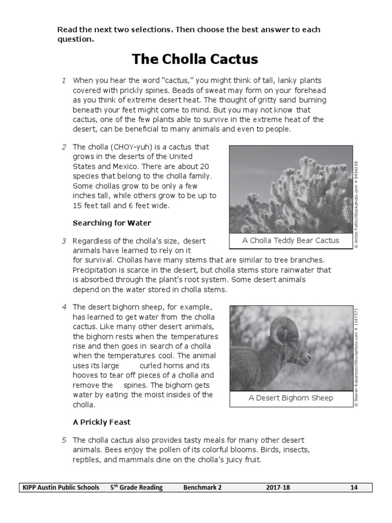 The One Thing | PDF | Desert | Nest