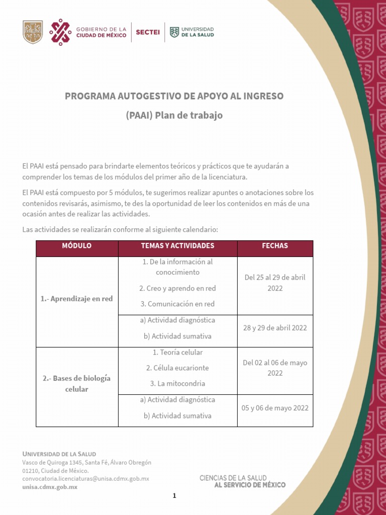 1.2 PAAI Plan de Trabajo3 | PDF