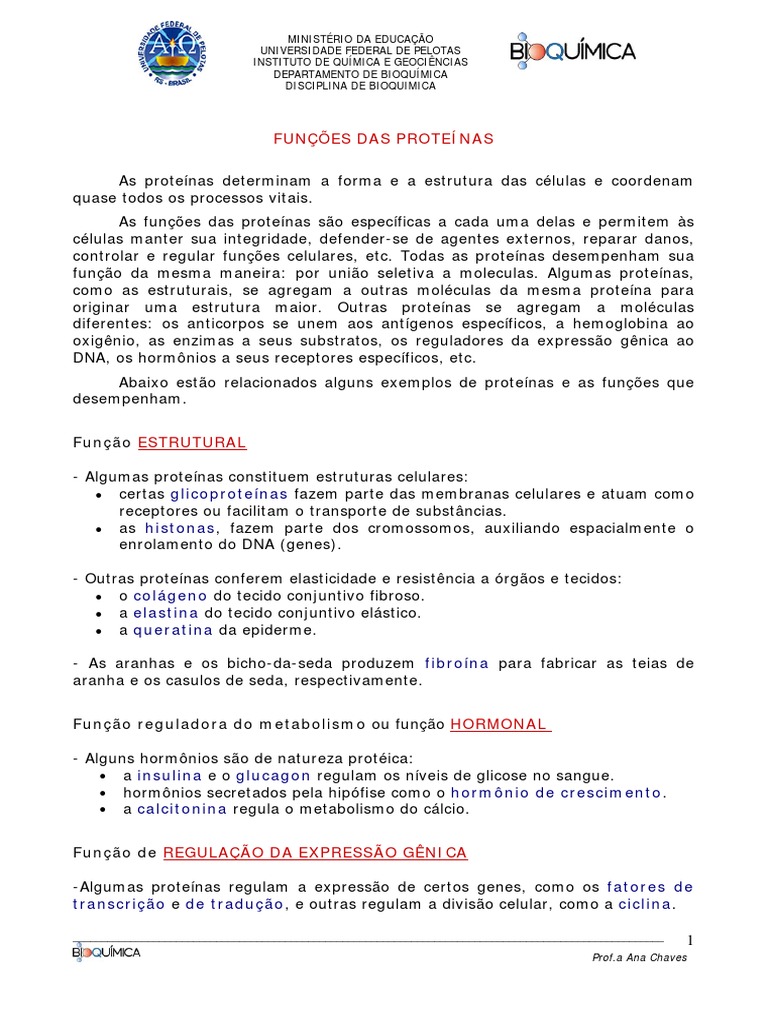 Resumo Sobre Funções Das Proteínas | PDF | Proteínas | Célula (Biologia)