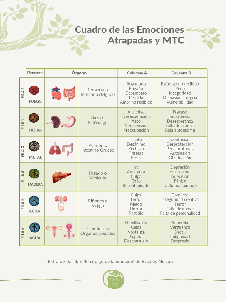 El Cuadro de Las Emociones Atrapadas y MTC | PDF | Temor | Las emociones