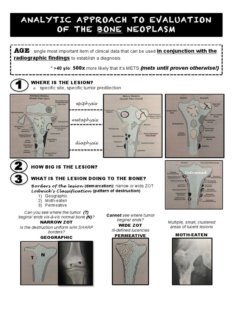 7 Xray Questions Handout793266145 | PDF | Anatomy | Diseases And Disorders