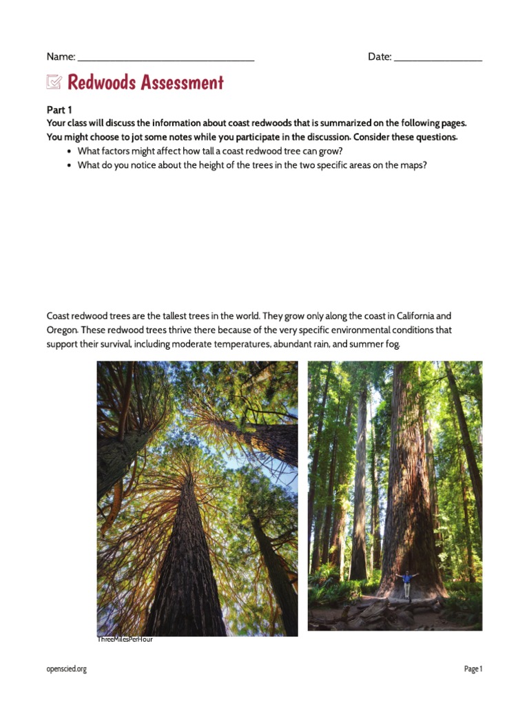 Redwoods Assessment | Download Free PDF | Sequoia Sempervirens | Trees