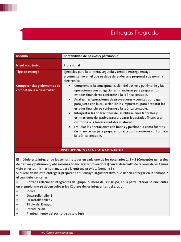 Pif Contabilidad de Pasivos y Patrimonio | PDF | Contabilidad | Ensayos