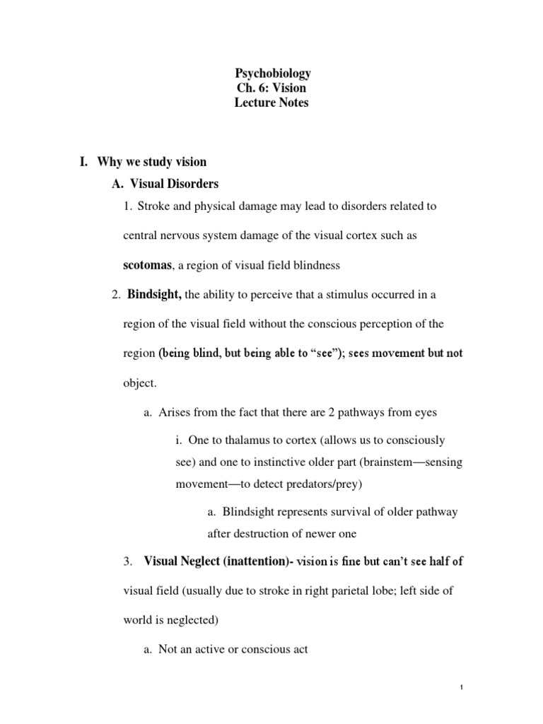 Psychobiology Ch. 6: Vision Lecture Notes | PDF | Visual System ...