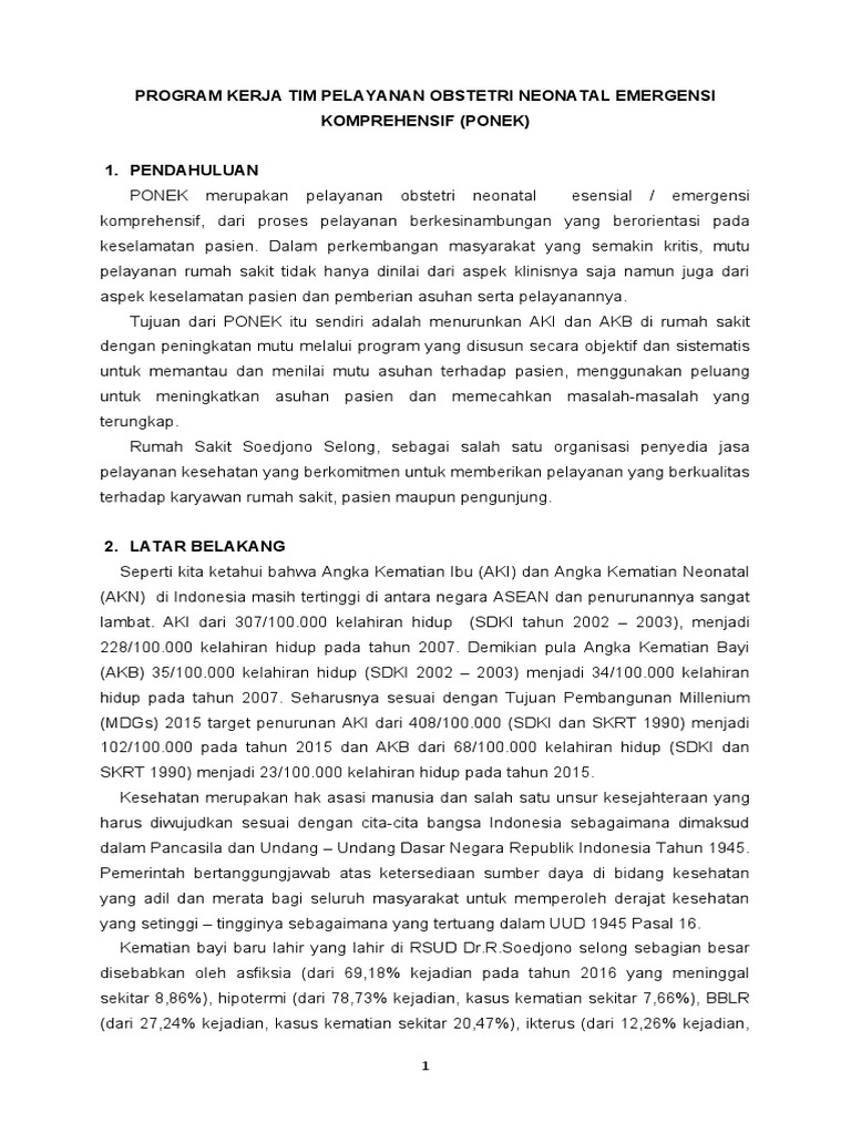 Program Kerja PONEK | PDF