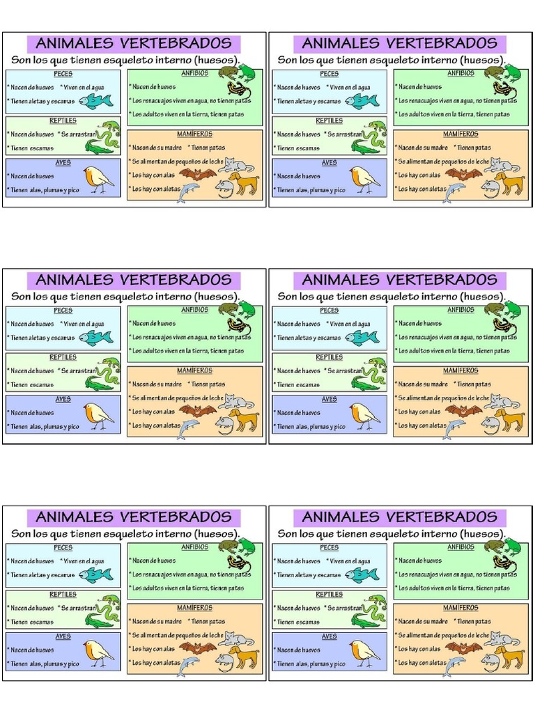Animales Vertebrados Caracteristicas y Clasificacion 2945 Orig | PDF