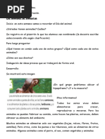 3°secuencia Didactica LA DIETA DE LOS ANIMALES | PDF | Dieta | Pico