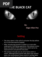 The Black Cat Comprehension and Discussion Questions | PDF