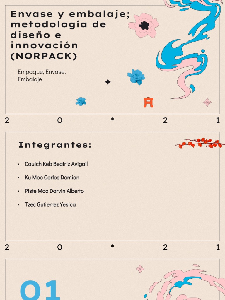 Norpack - Equipo 5 | PDF | Diseño | Producto (Negocio)