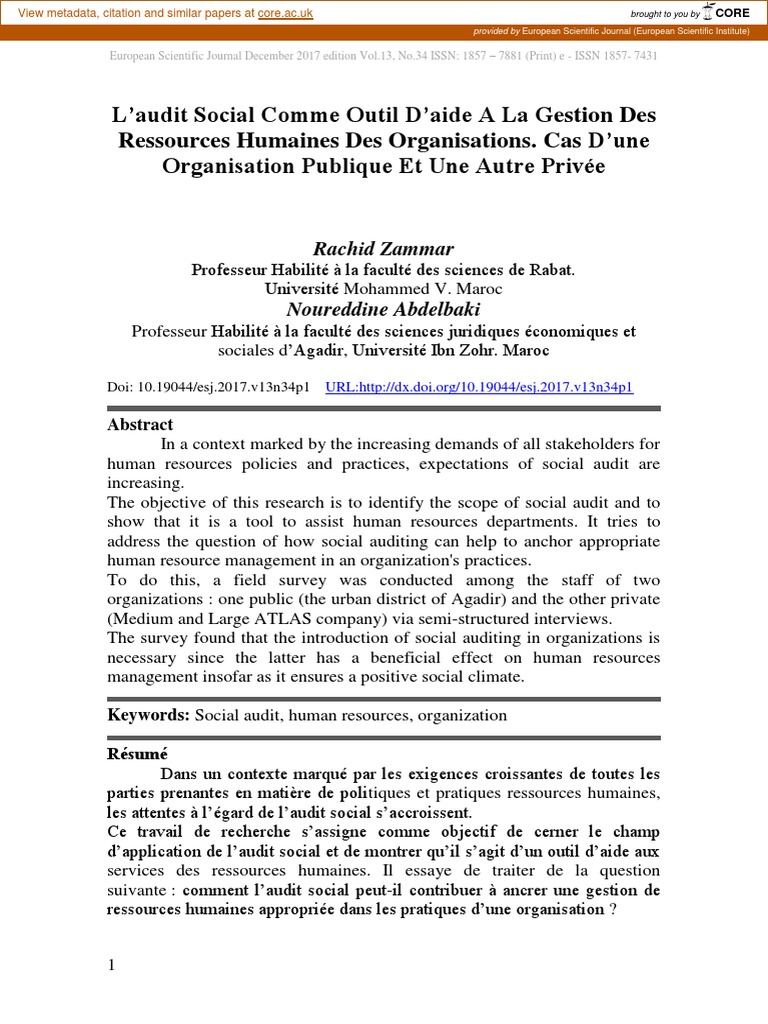 Audit Social | PDF | Audit | Business