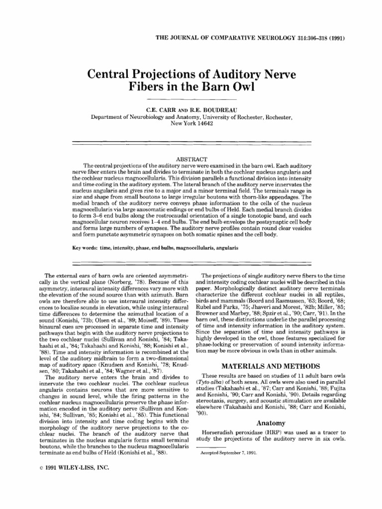 Carr Central Projections | PDF | Chemical Synapse | Auditory System