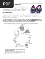 Biochemistry Basic Pogil | PDF