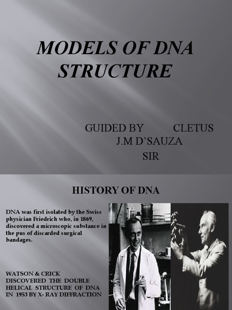 Models of Dna Structures | PDF | Genetics | Nucleic Acid Double Helix