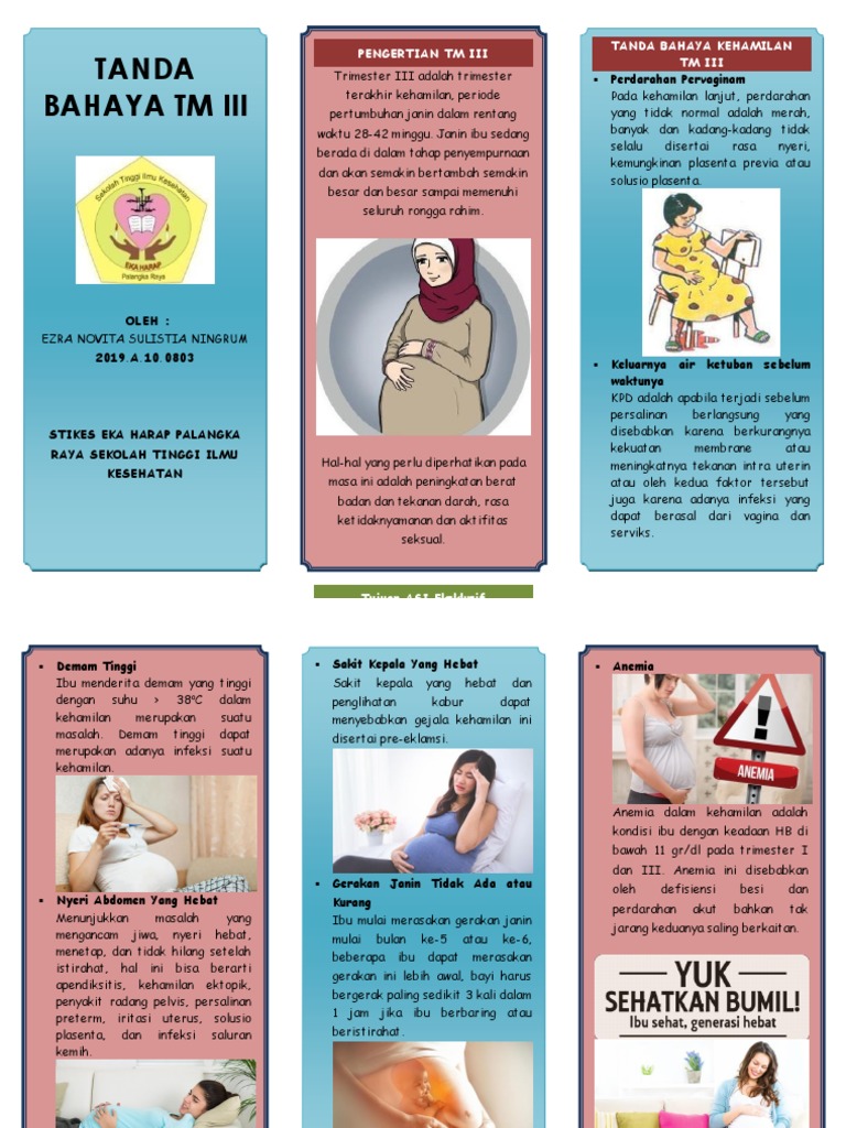 Leaflet Tanda Bahaya TM Iii | PDF