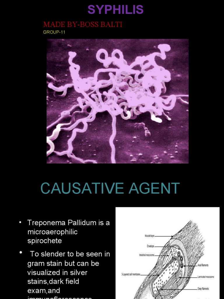 Syphilis Presentation 1 | PDF | Medical Specialties | Diseases And ...