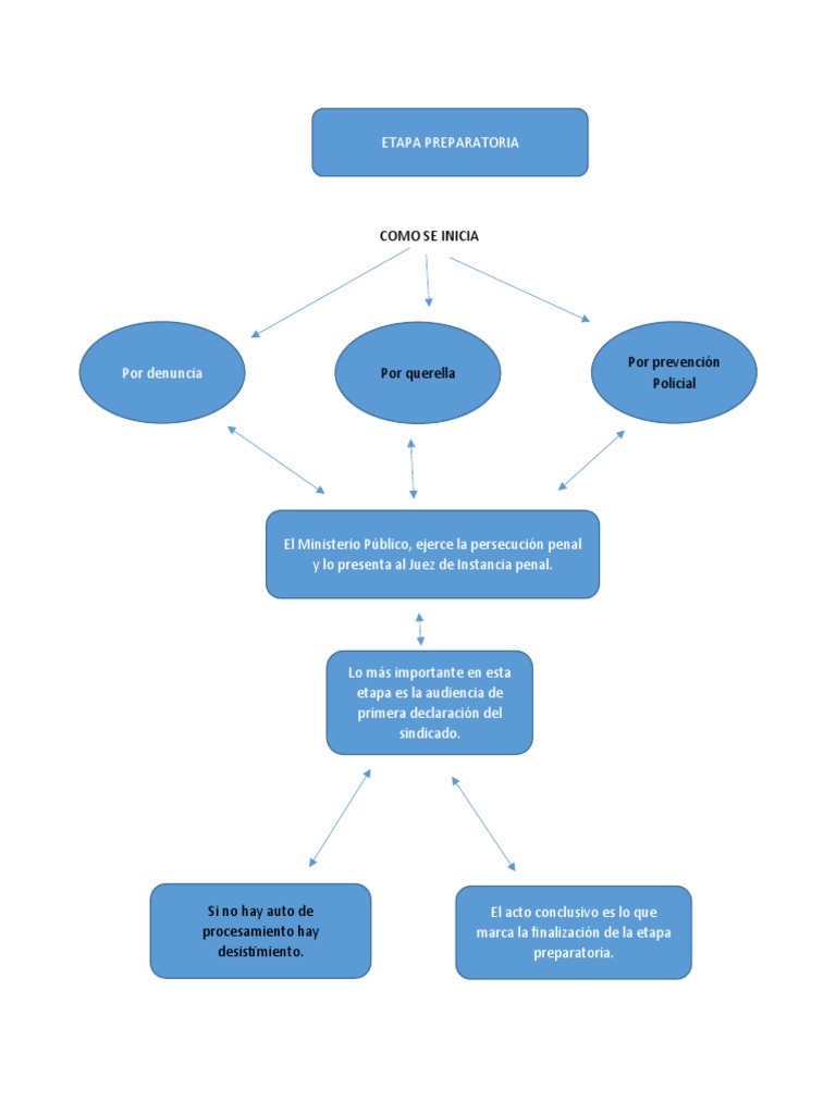 Esquema Etapa Preparatoria. | PDF