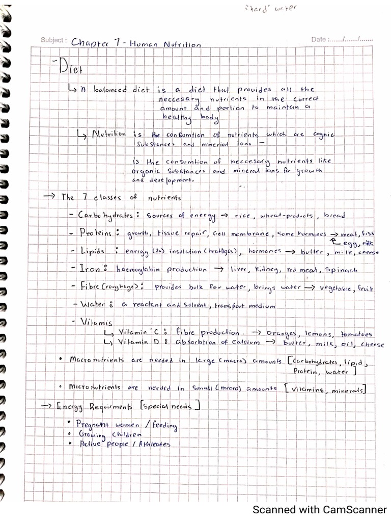 Biology IGCSE Chapter 7 - Human Nutrition | PDF