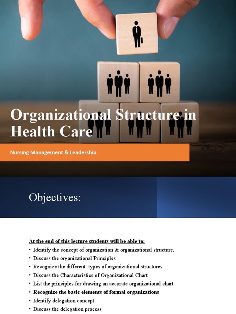 5 Organizaitional Structure | PDF | Organizational Structure | Health Care
