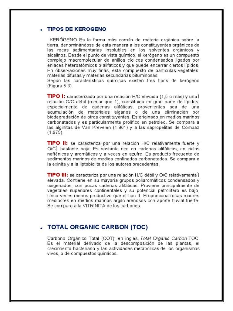 Tipos de Kerógeno y sus Características | PDF