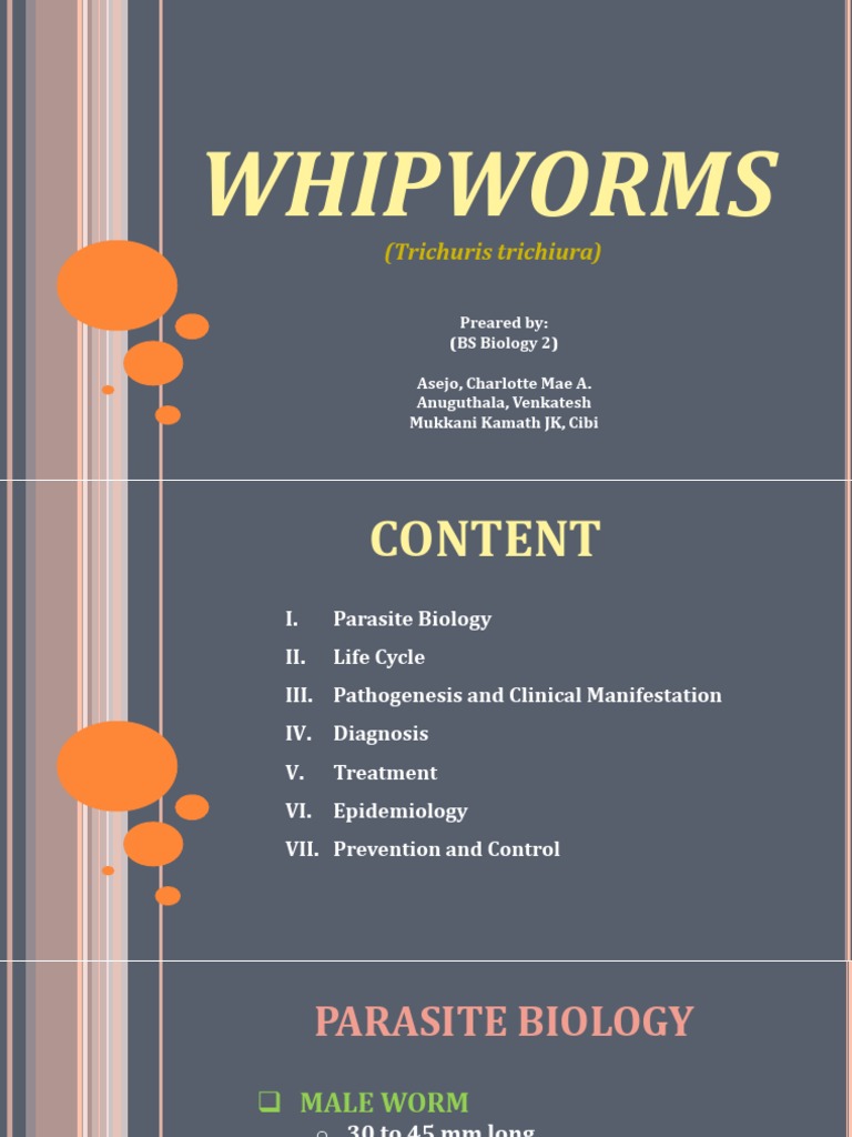 Enterobius Vermicularis | PDF | Clinical Medicine | Medical Specialties