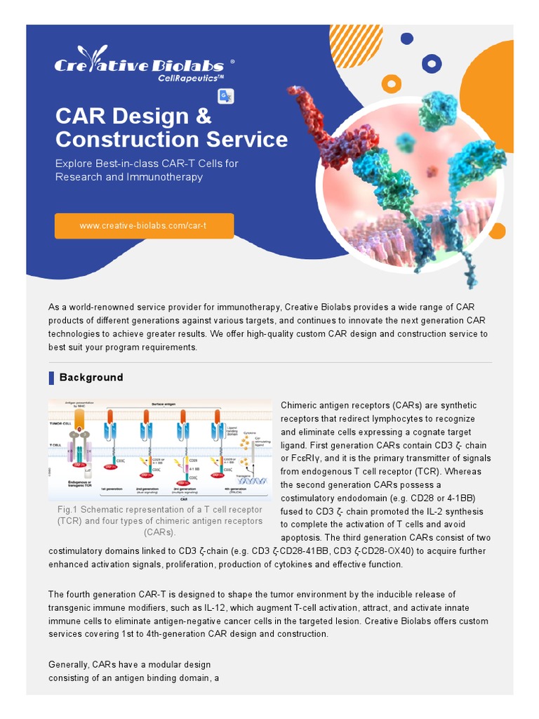 CAR Design and Construction Service - Creative Biolabs | PDF | T Cell ...