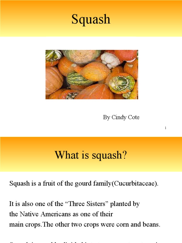 Squash Presentation | PDF | Cucurbita | Crops
