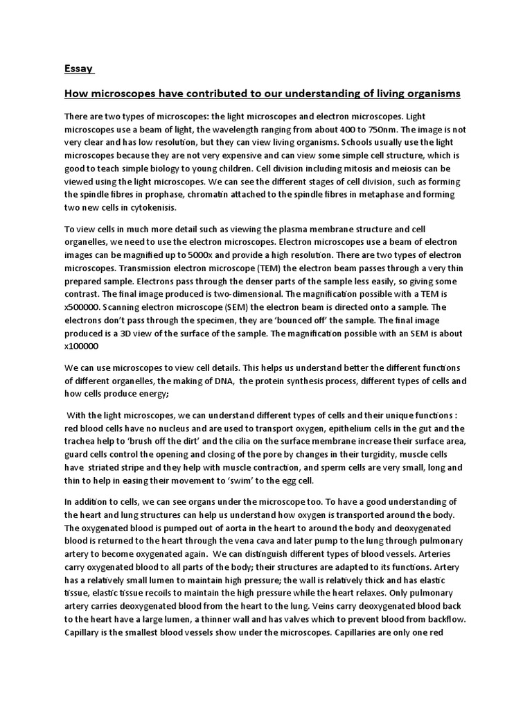 Essay, How Microscopes Have Contributed To Our Understanding of Living ...