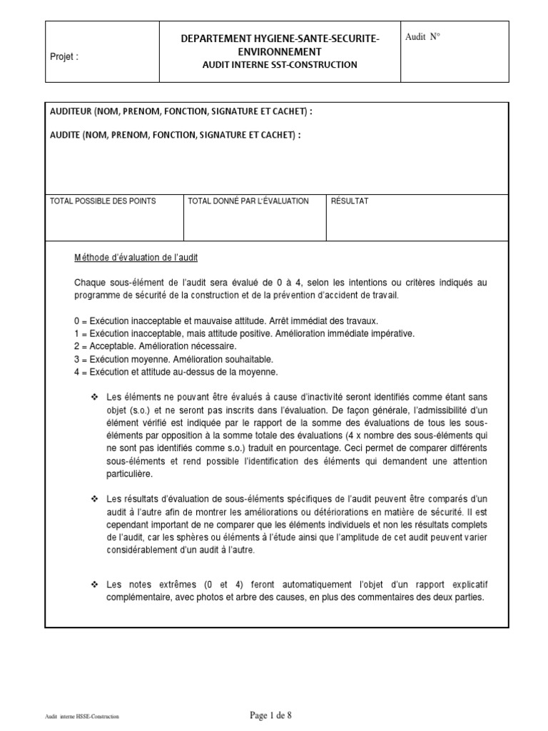 Audit Interne SST Et Environnement | PDF