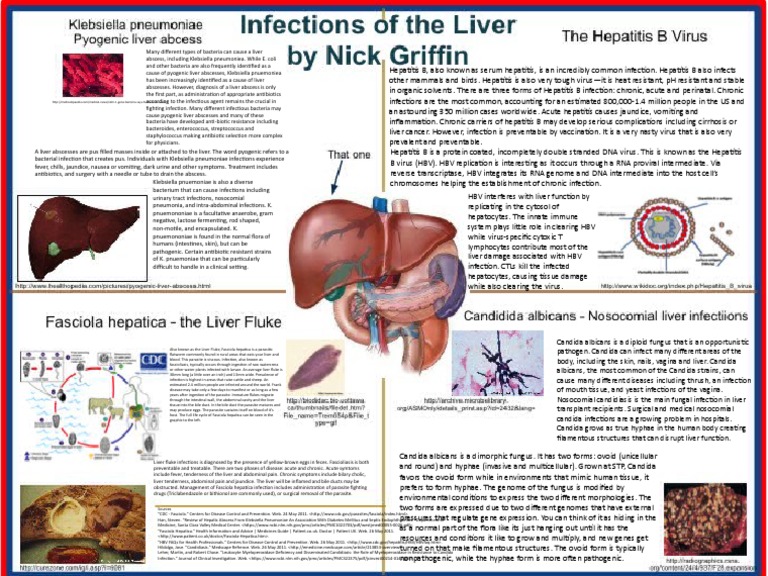 Infections of The Liver Revised - Nick Griffin | PDF | Hepatitis ...