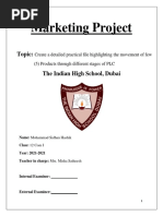 Economics Project SHG Class12th (2019-20) | PDF