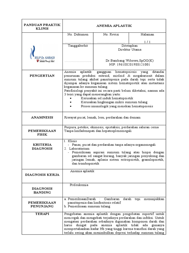 PPK - Anemia Aplastik | PDF
