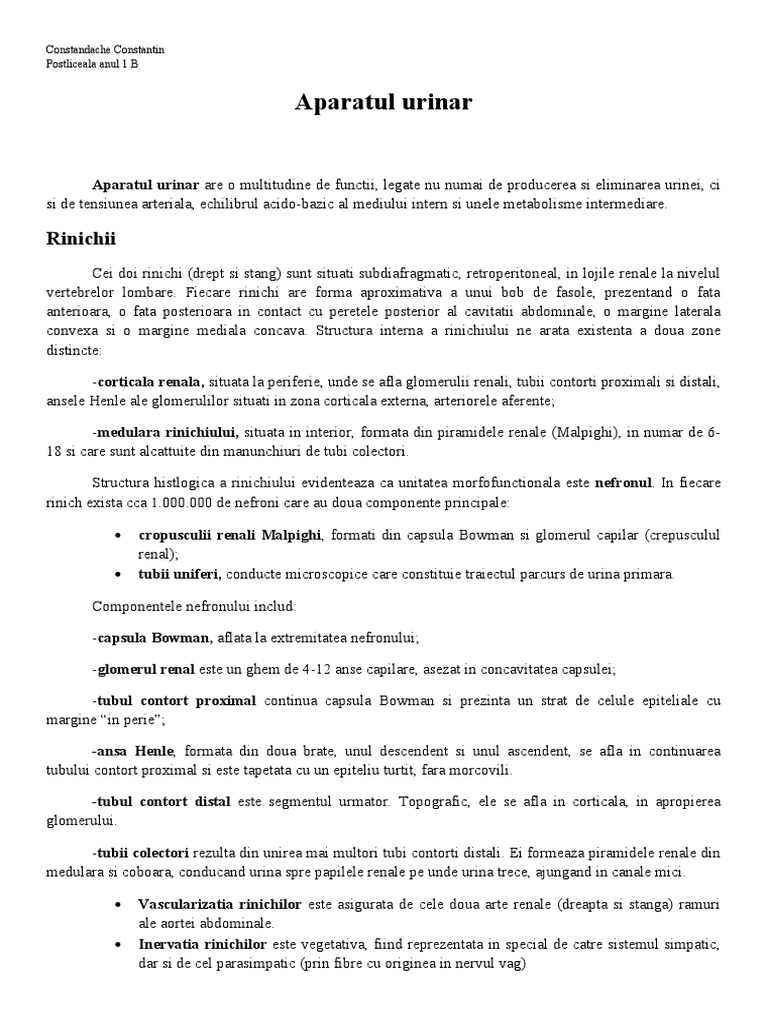 Aparatul Renal | PDF