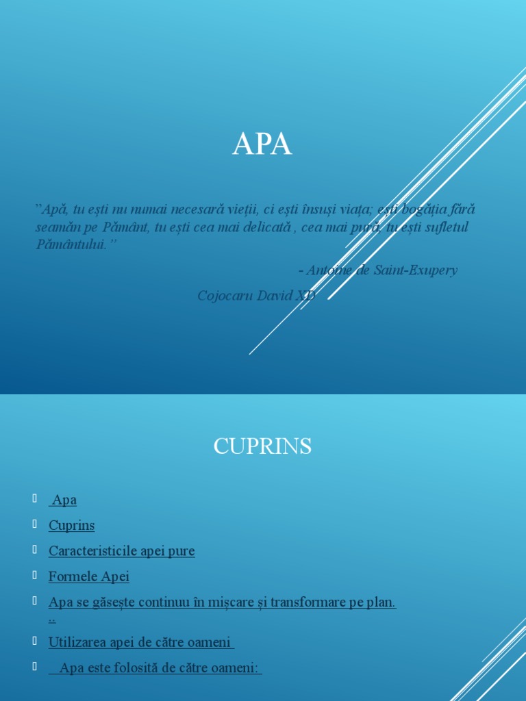 Proiect Info Apa | PDF