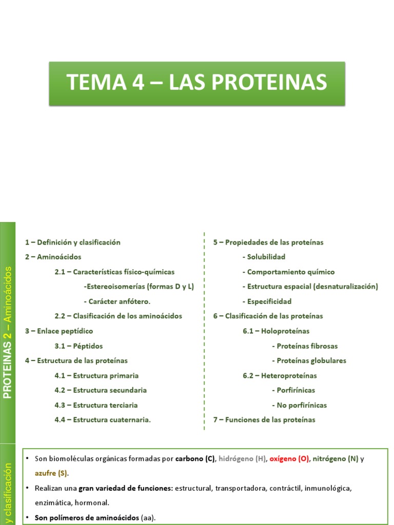 BCN2 Tema 4 Prótidos | Descargar gratis PDF | Aminoácidos | Proteínas