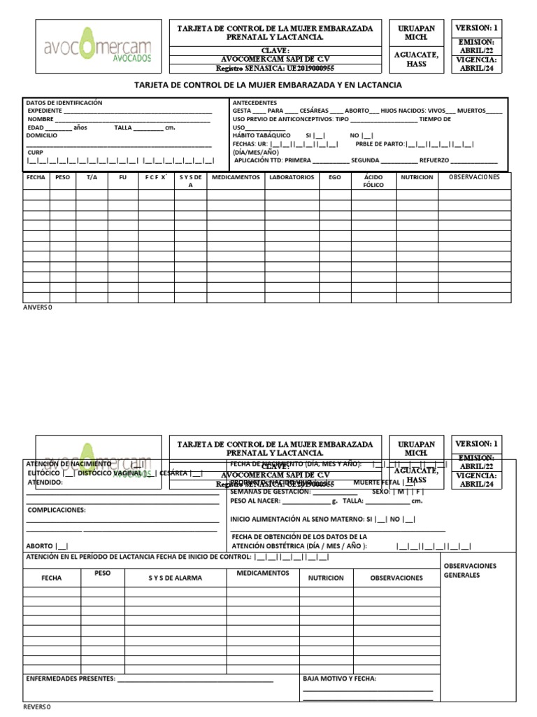 Tarjeta de Control de La Mujer Embarazada y en Lactancia | PDF | El ...