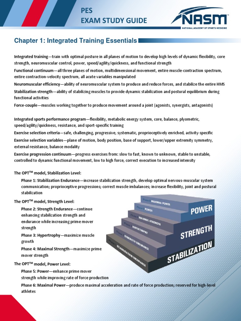 PES Study Guide | PDF | Anatomical Terms Of Motion | Foot