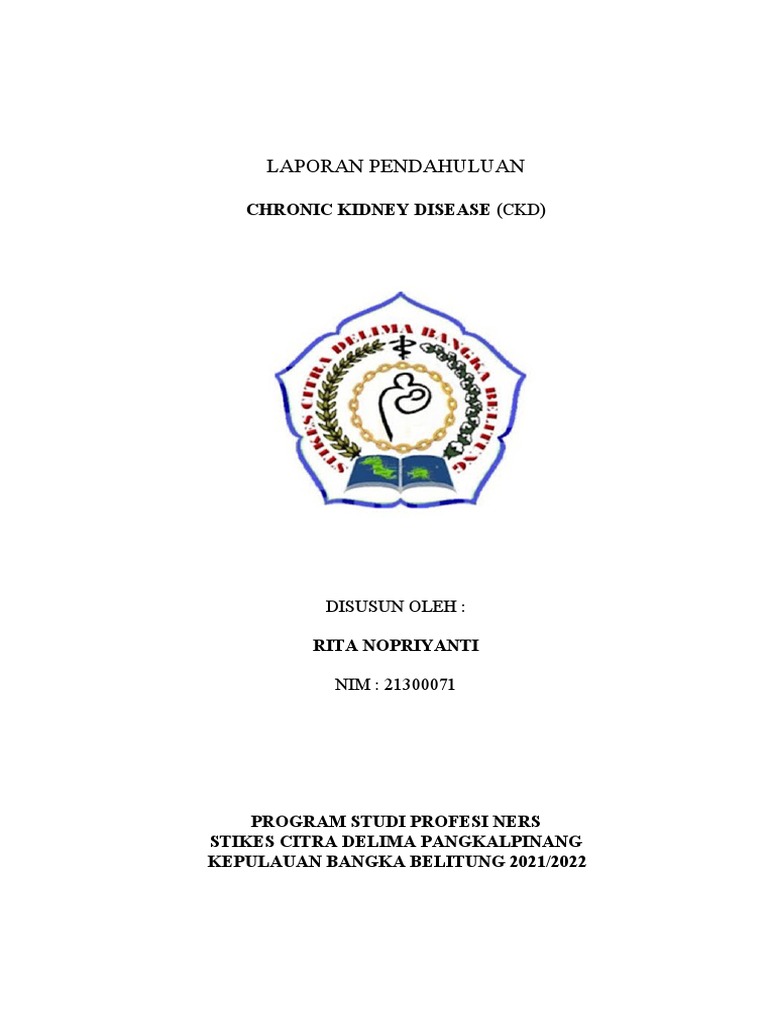 LP CKD | PDF
