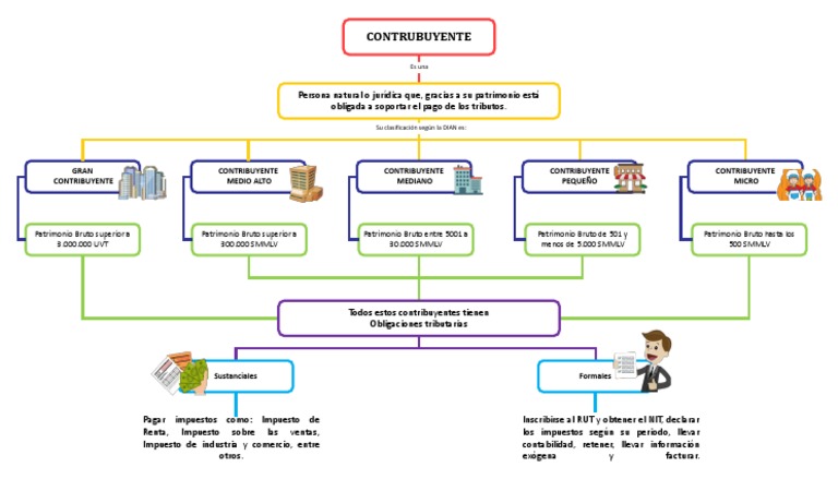 Mapa Conceptual Contribuyentes Pdf