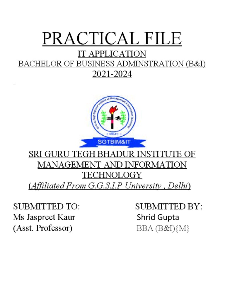 Practical File: Bachelor of Business Adminstration (B&I) | PDF ...