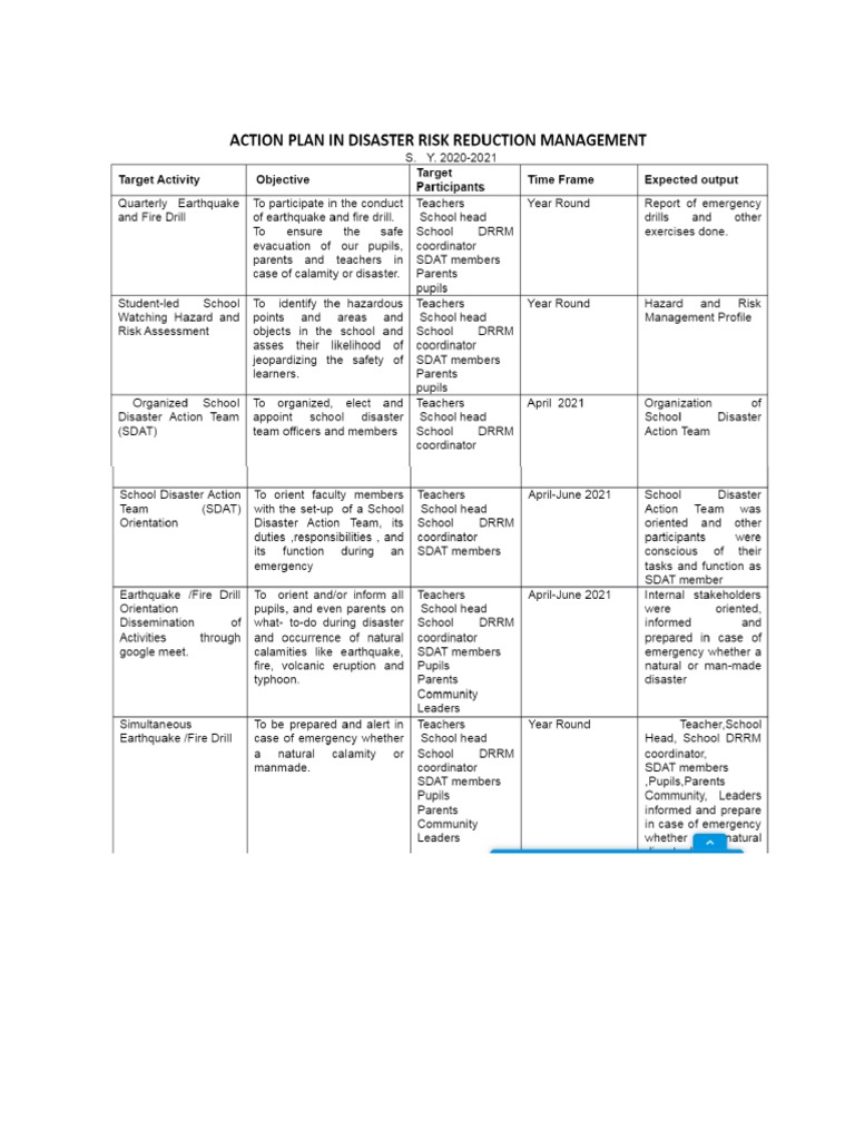 Action Plan DRRM | PDF