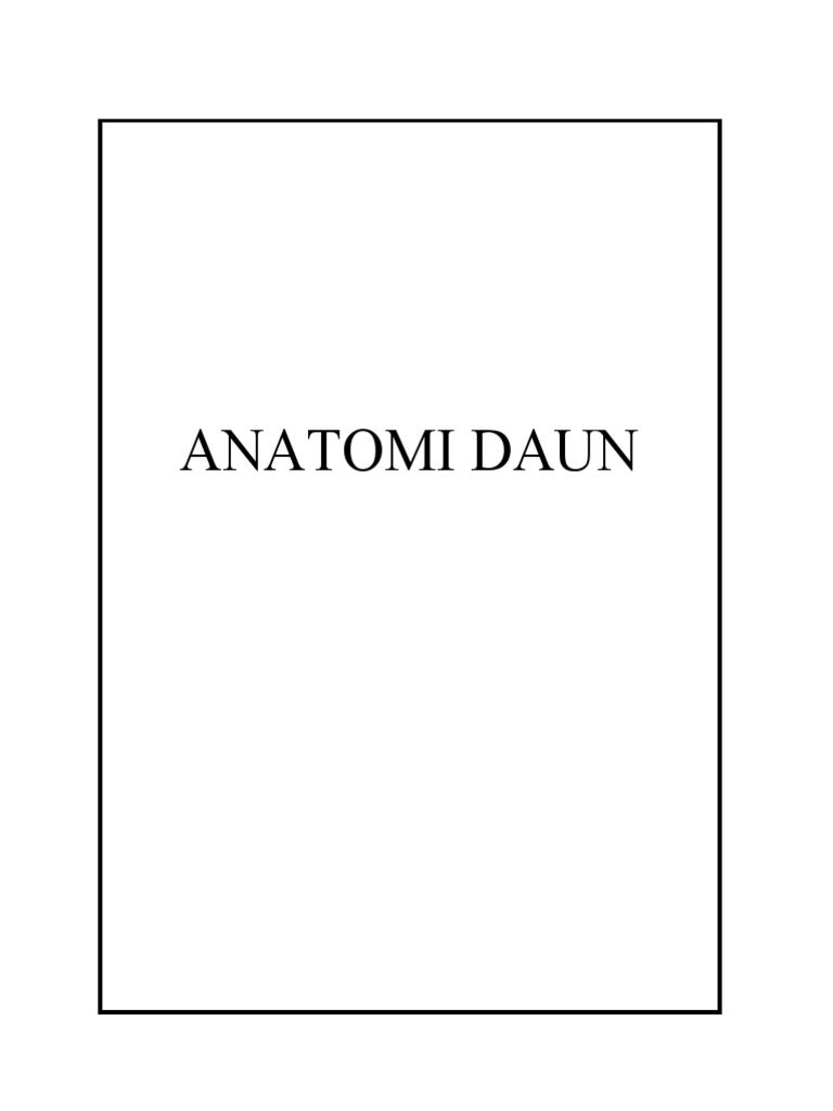 Anatomi Daun | PDF