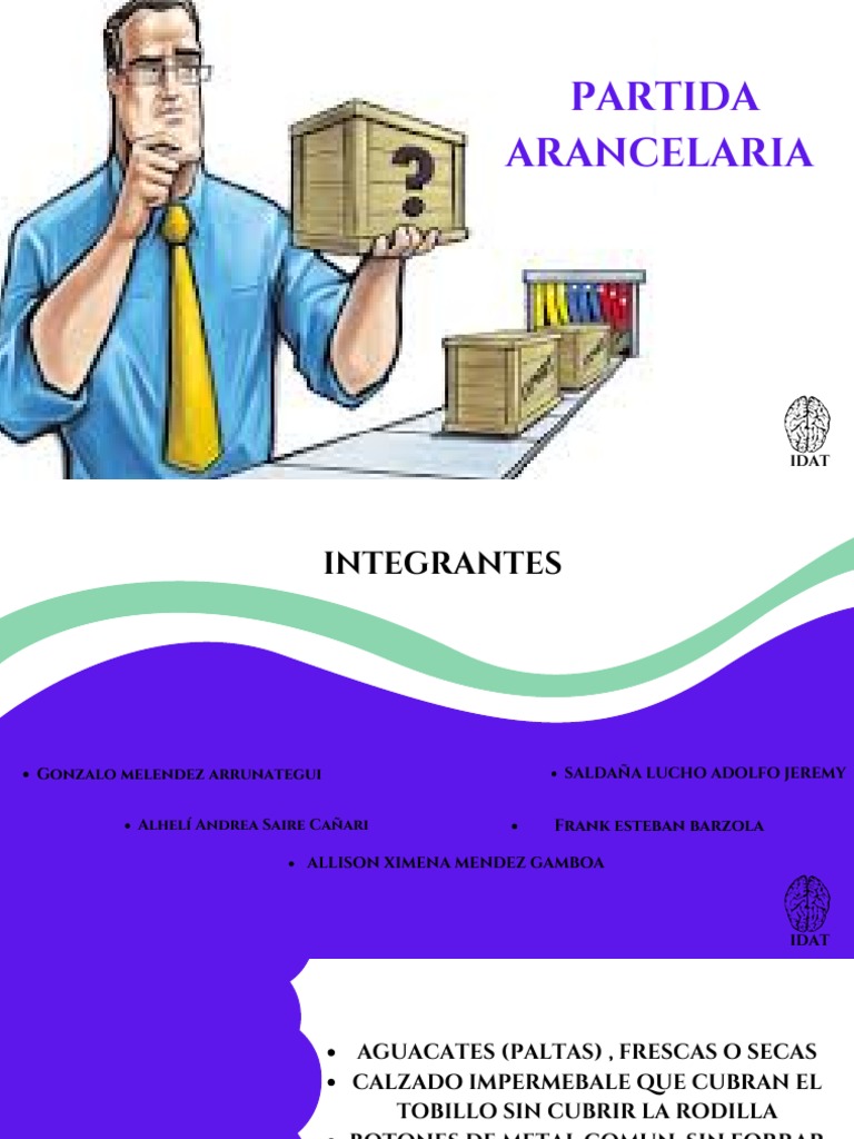 Partida Arancelaria | PDF